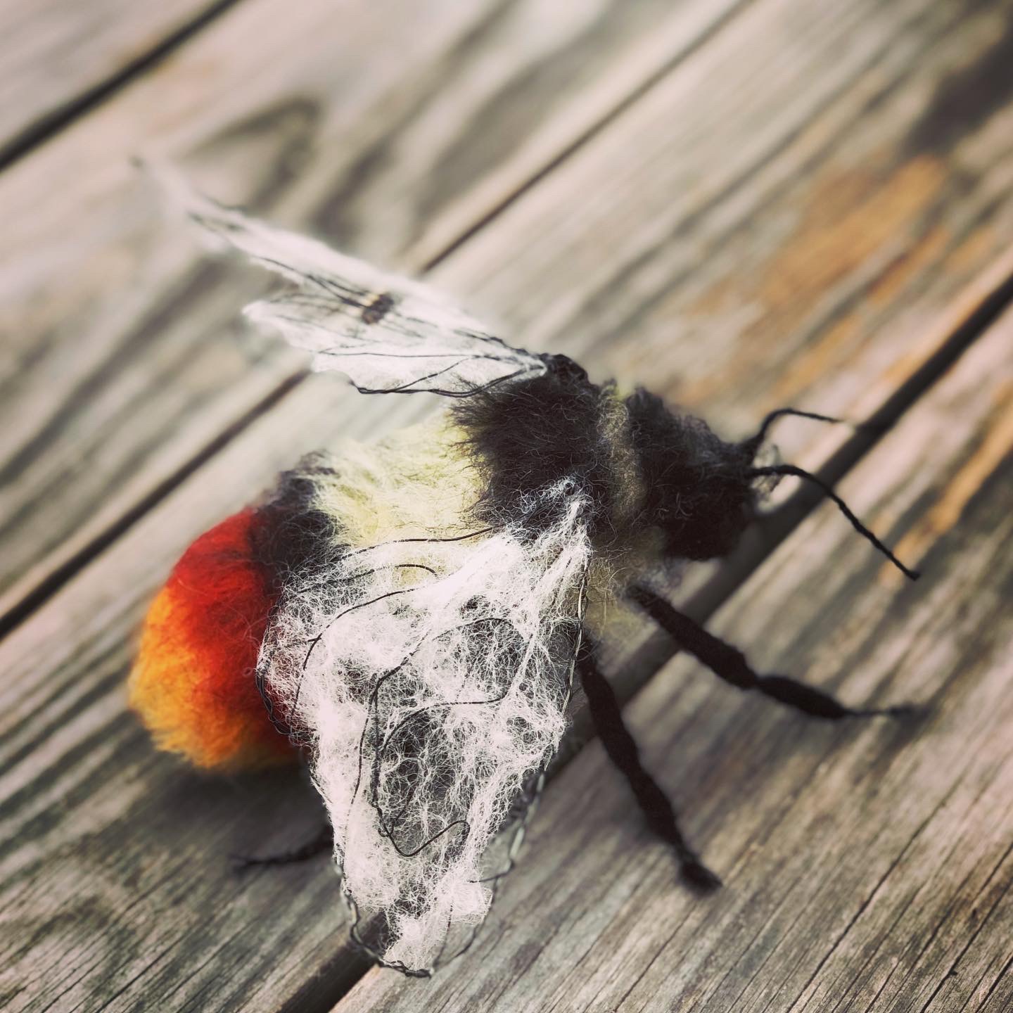 Tovade humlor – Tovan